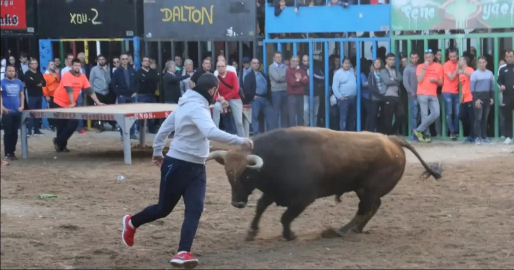 Român atacat în Spania de un taur, în timpul unui festival tradițional ...